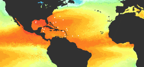 Tropical Cyclones: Formation—Sea-surface Temperatures